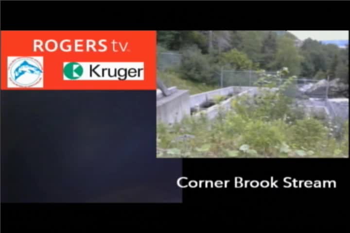 Corner Brook Stream Salmon Cam - Rogers tv Corner Brook