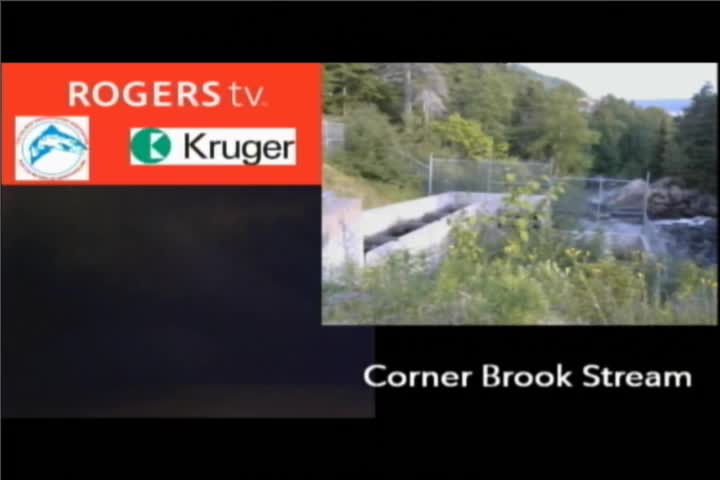 Corner Brook Stream Salmon Cam - Rogers tv Corner Brook